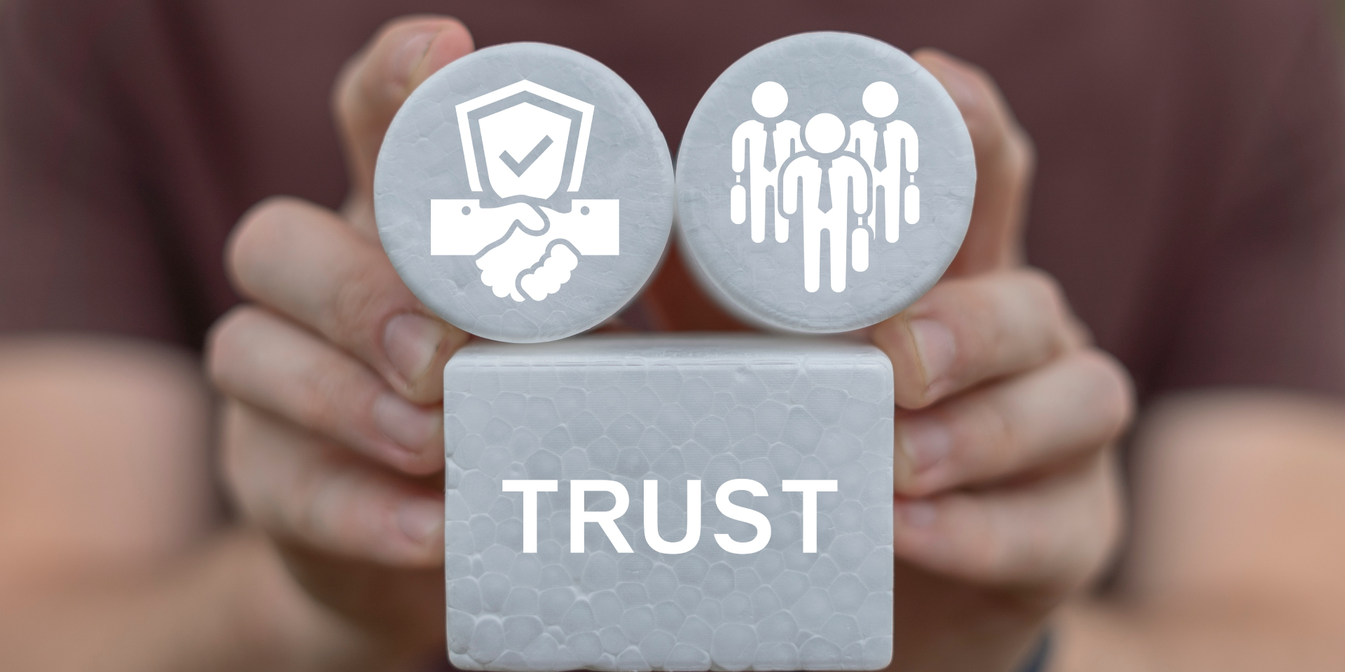 Putting an LLC in a Trust: Benefits and Structure